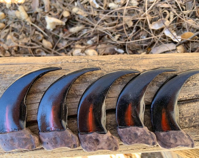 Five (5) Large 3" Grizzly Bear Claws Free Shipping - Etsy