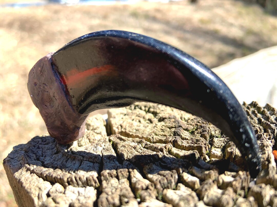 One (1) 3" Grizzly Bear Claw With Fast Free Shipping Included - Etsy
