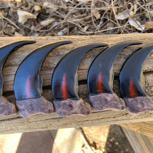 Five (5) Large 3" Grizzly Bear Claws Free Shipping - Etsy