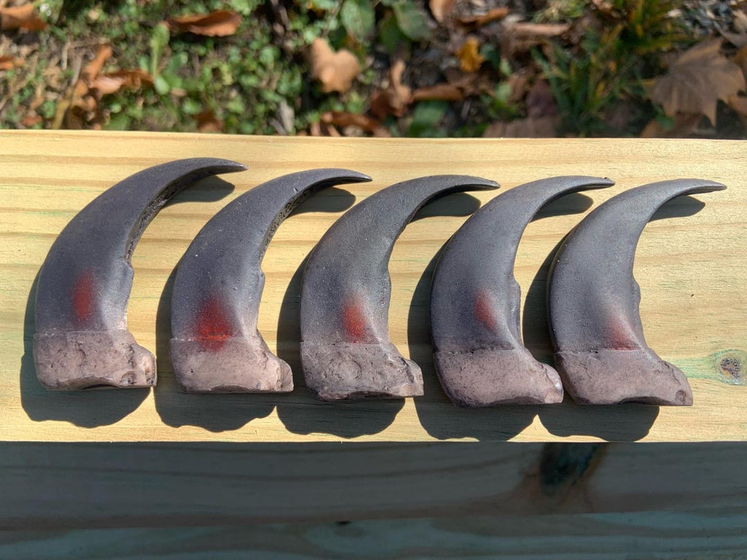 Five 5 Grizzly Bear Claws With Free Shipping - Etsy