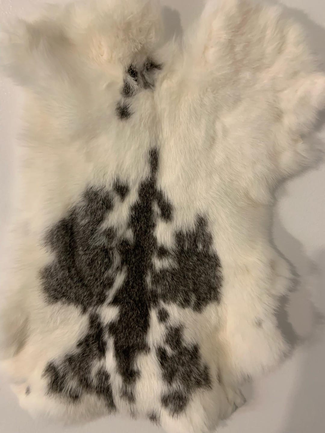Natural Rabbit Fur Skin Pelt White & Black Includes Fast Free Shipping ...