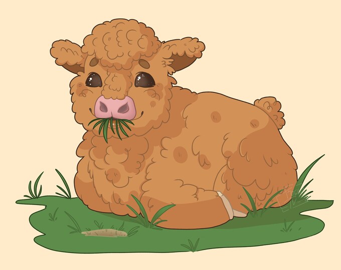 Haymish Paper Print - Etsy