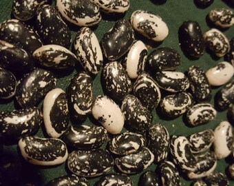 Chester Poling - Etsy