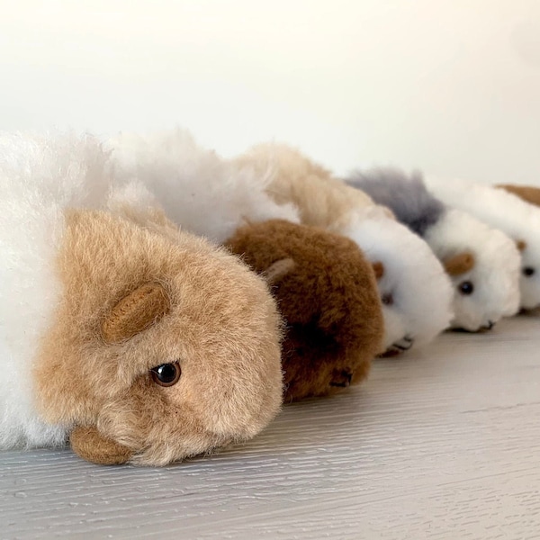 Stuffed Guinea Pig - Etsy