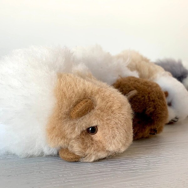 Stuffed Guinea Pig - Etsy