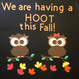 Fall Bulletin Board | Back to School Bulletin Board | Owl Bulletin ...