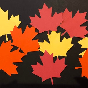 Fall Bulletin Board | Back to School Bulletin Board | Owl Bulletin ...