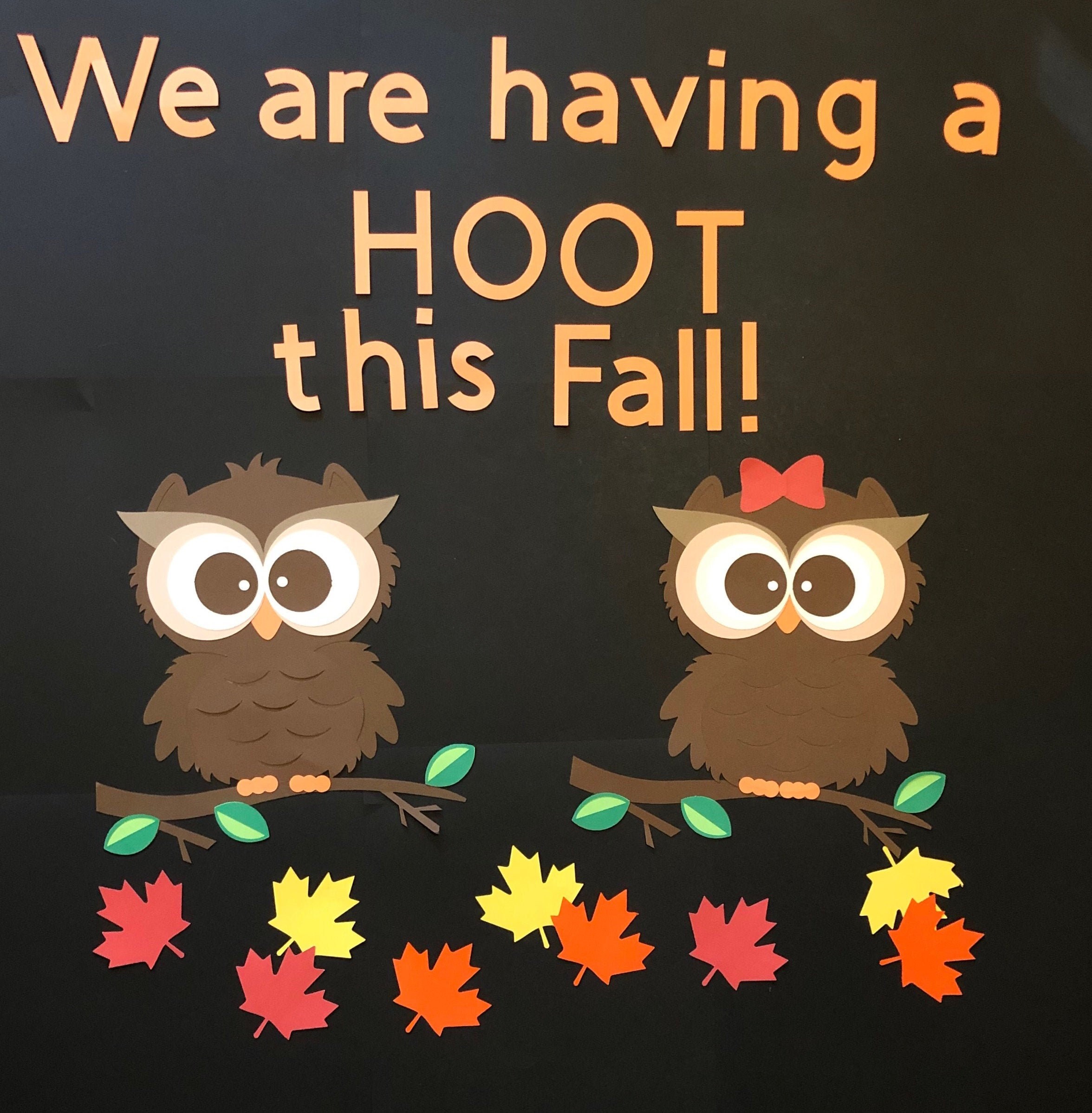 Fall Bulletin Board Ideas With Owls