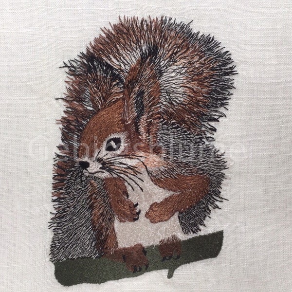 Squirrel Embroidery - Etsy