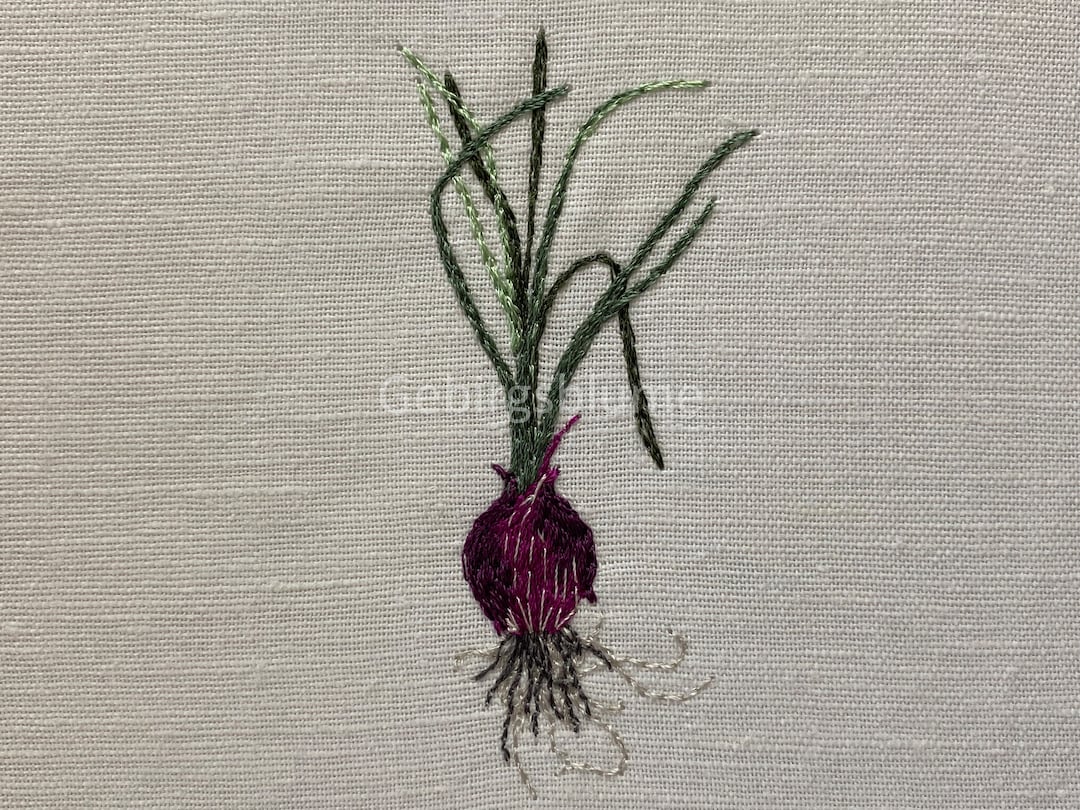 Red Onion Machine Embroidery Design ONE Size H3.43"*w1.59 - Etsy