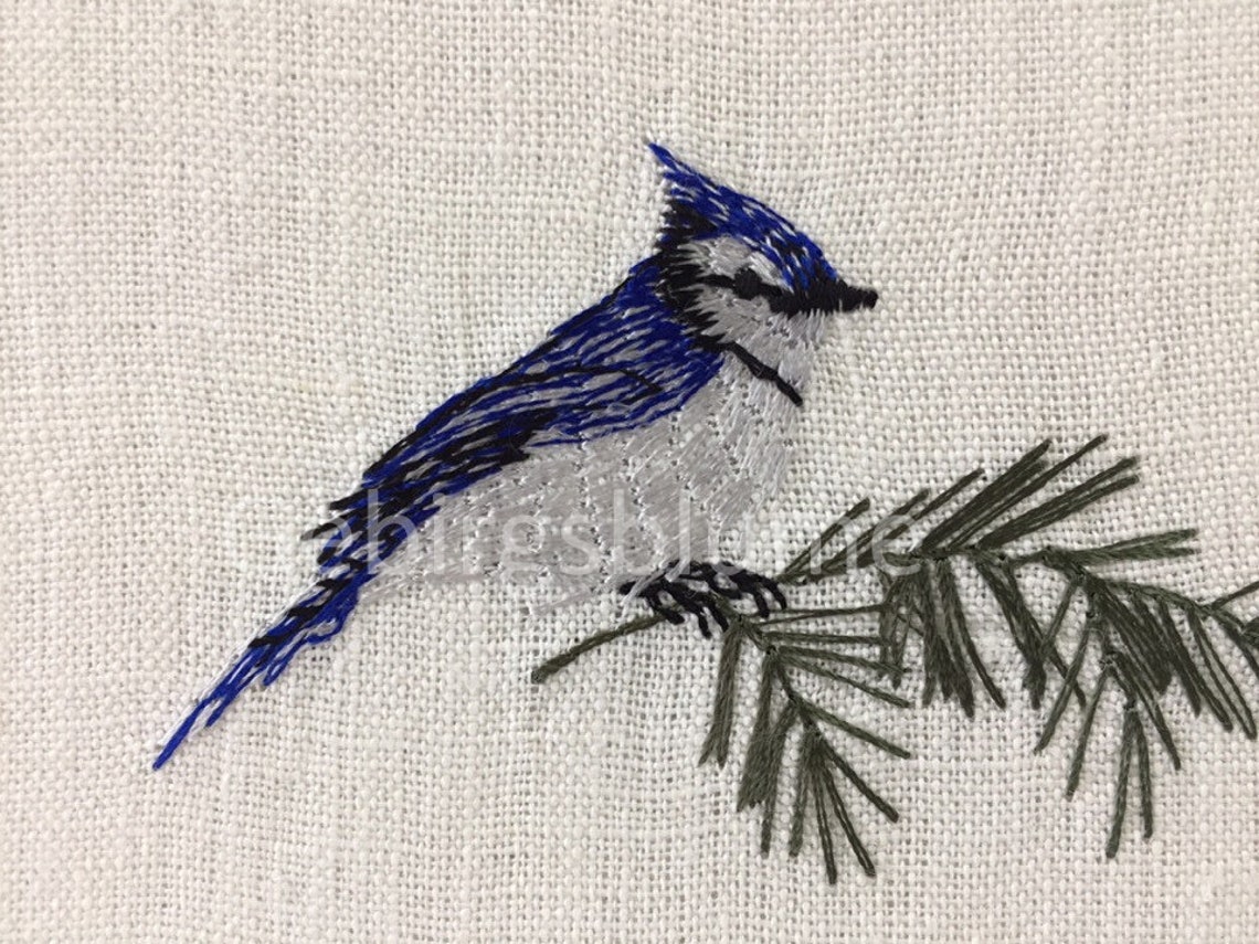 Blue Jay Machine Embroidery Design Instant Download - Etsy