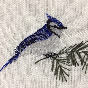 Blue Jay Machine Embroidery Design Instant Download - Etsy