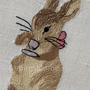 Bunny Embroidery Design Easter Bunny Peter Rabbit Machine Embroidery ...