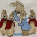 Peter Rabbit Embroidery Design Digital Download Machine - Etsy