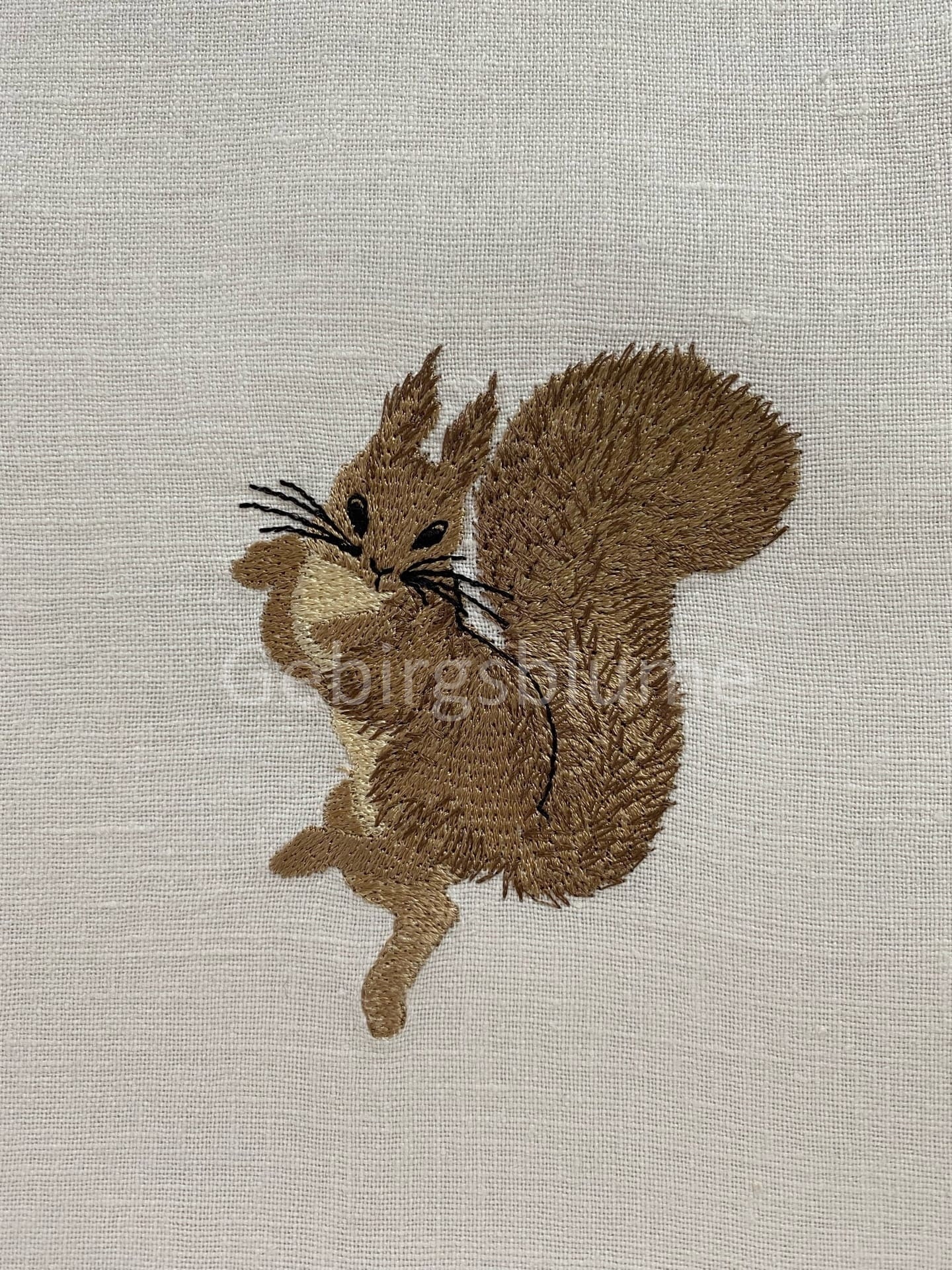 Squirrel Embroidery Design - Etsy