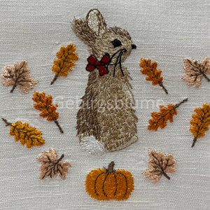 Peter Rabbit Embroidery Design Autumn Machine Embroidery Designs - Etsy