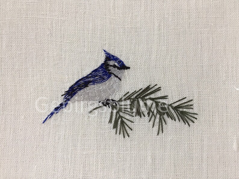 Blue Jay Machine Embroidery Design Instant Download - Etsy