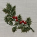 Mini Holly Machine Embroidery Design Holly Twig With Berries One Size ...