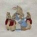Peter Rabbit Embroidery Design Digital Download Machine - Etsy