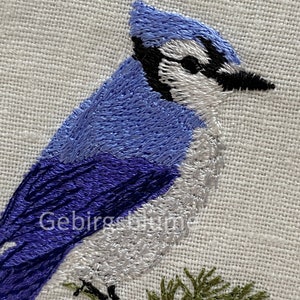 Blue Jay Machine Embroidery Design Bird Embroidery Instant Download ...