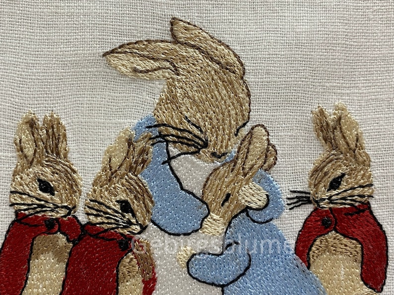 Peter Rabbit Embroidery Design Digital Download Machine - Etsy