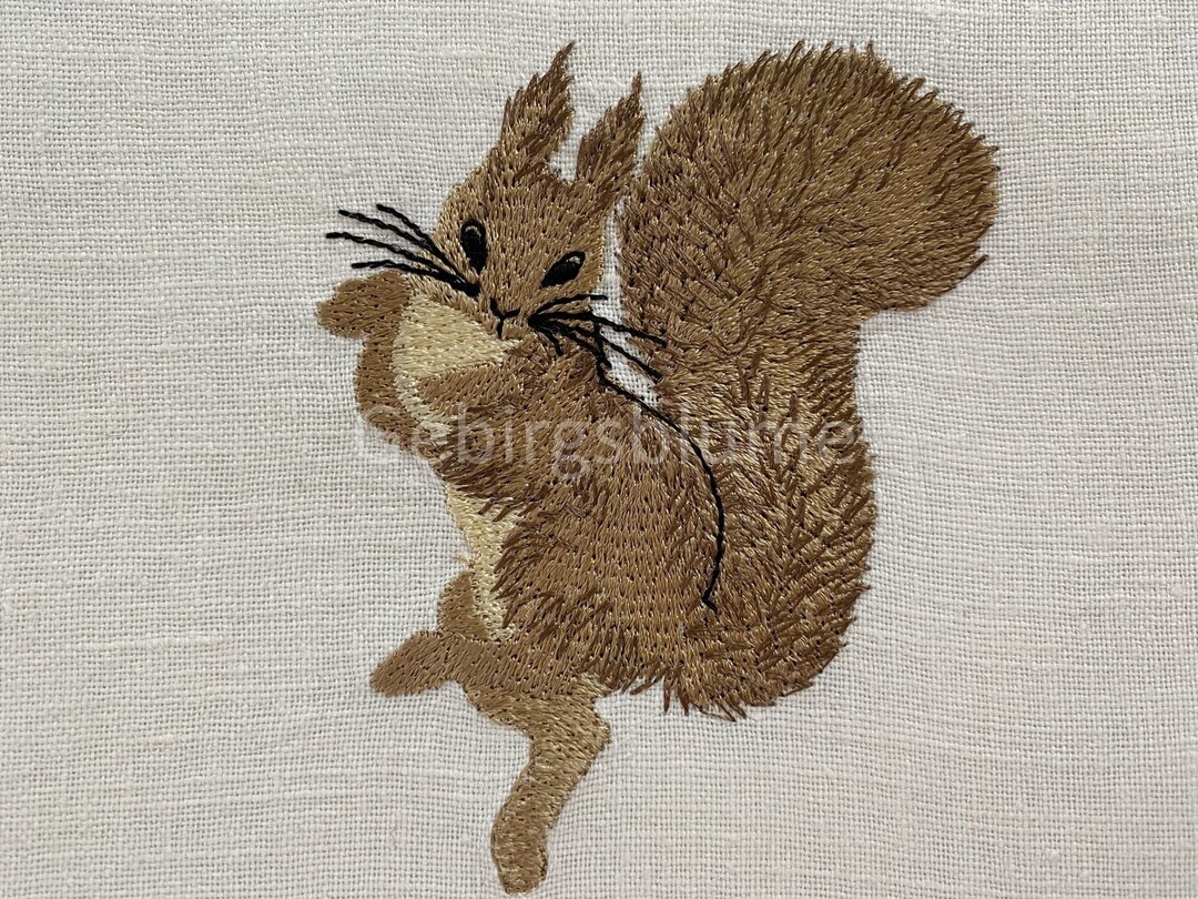 Squirrel Machine Embroidery Design - Etsy