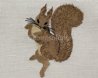 Squirrel Embroidery - Etsy