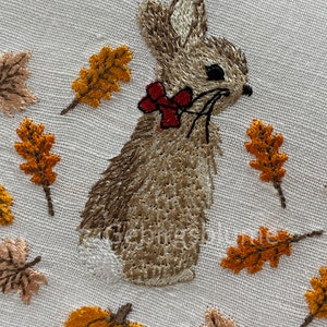 Peter Rabbit Embroidery Design Autumn Machine Embroidery Designs - Etsy