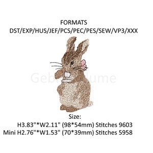 Bunny Embroidery Design Easter Bunny Peter Rabbit Machine Embroidery ...