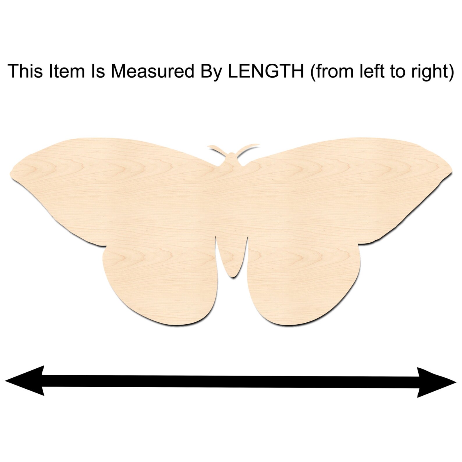 Unfinished Wooden Moth Shape-wood Moth Cutout - Etsy