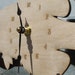 Crappie Clock-laser Cut Wooden Fish Clock-maple Wood Desk Clock - Etsy