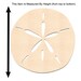 Sand Dollar Cutout-wooden Sand Dollar Shape - Etsy