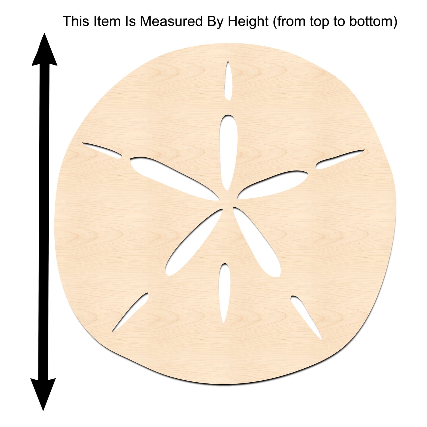 Sand Dollar Cutout-wooden Sand Dollar Shape | Etsy