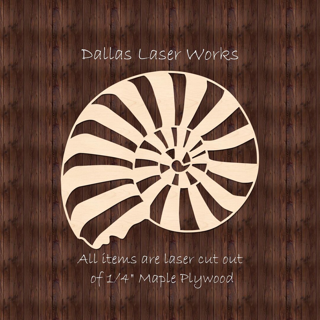 Seashell Shape- Wooden Seashell Cutout - Etsy