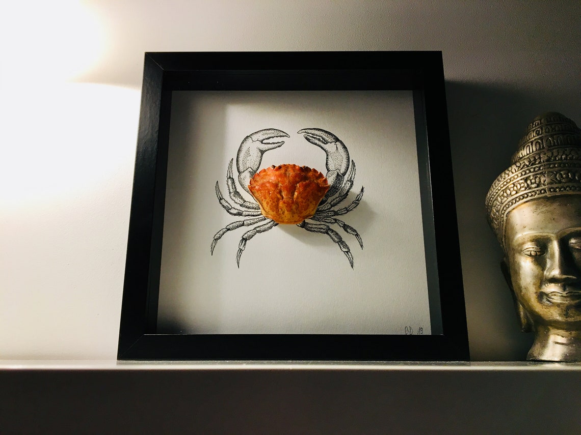 Drawn Crab, Large Size, and Real Shell - Etsy
