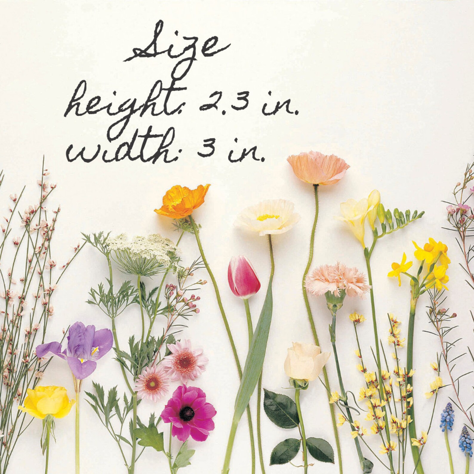 Ite Ad Joseph St. Joseph die cut sticker Catholic | Etsy