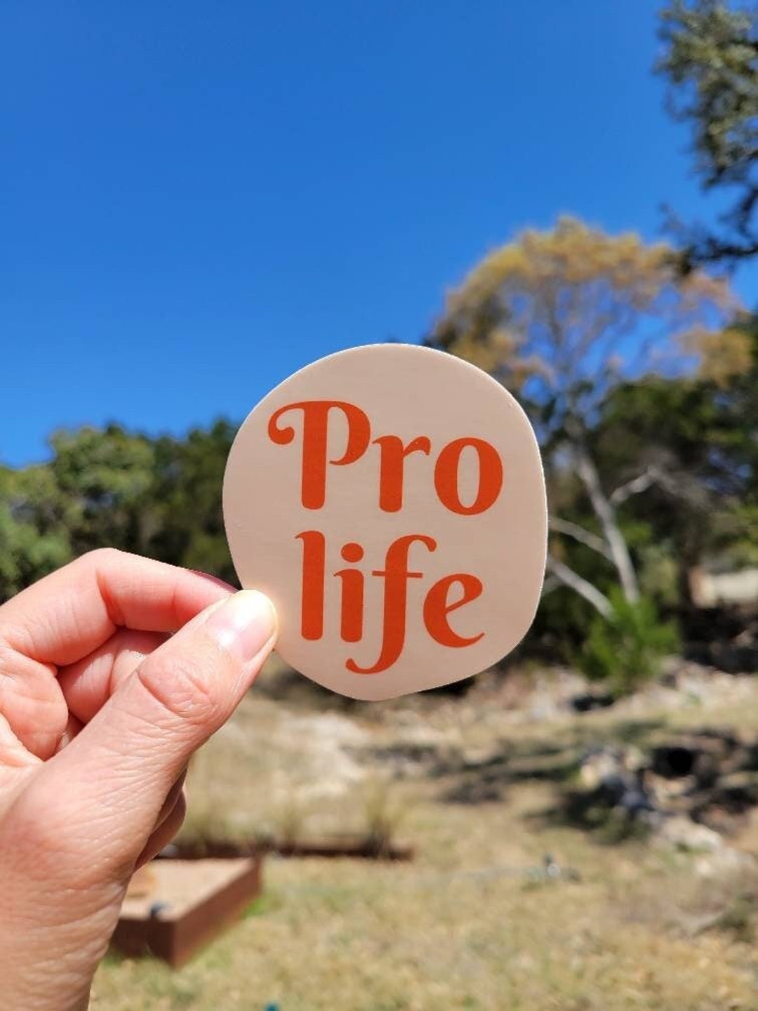 Pro-life Die Cut Sticker Christian Sticker Catholic Bible, Laptop ...