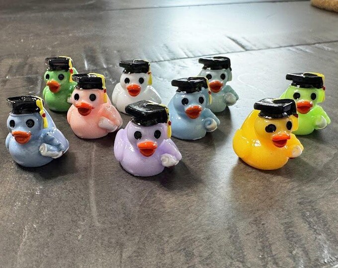 Graduation Ducks Mini Resin Ducks, Grad Ducks, Fairy Garden, Dollhouse ...