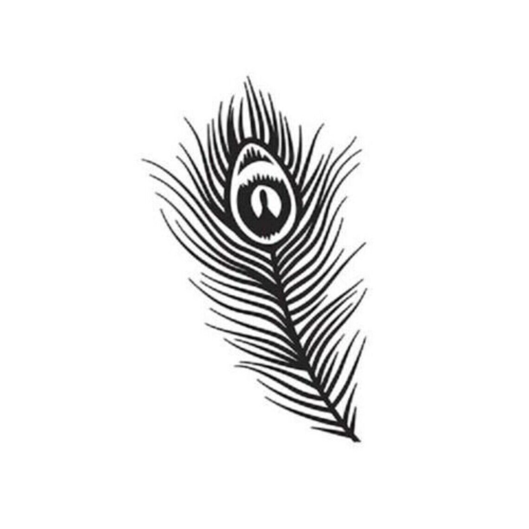 Embossing Folder Peacock Feather | Create Invitations | DIY Paper Tools ...