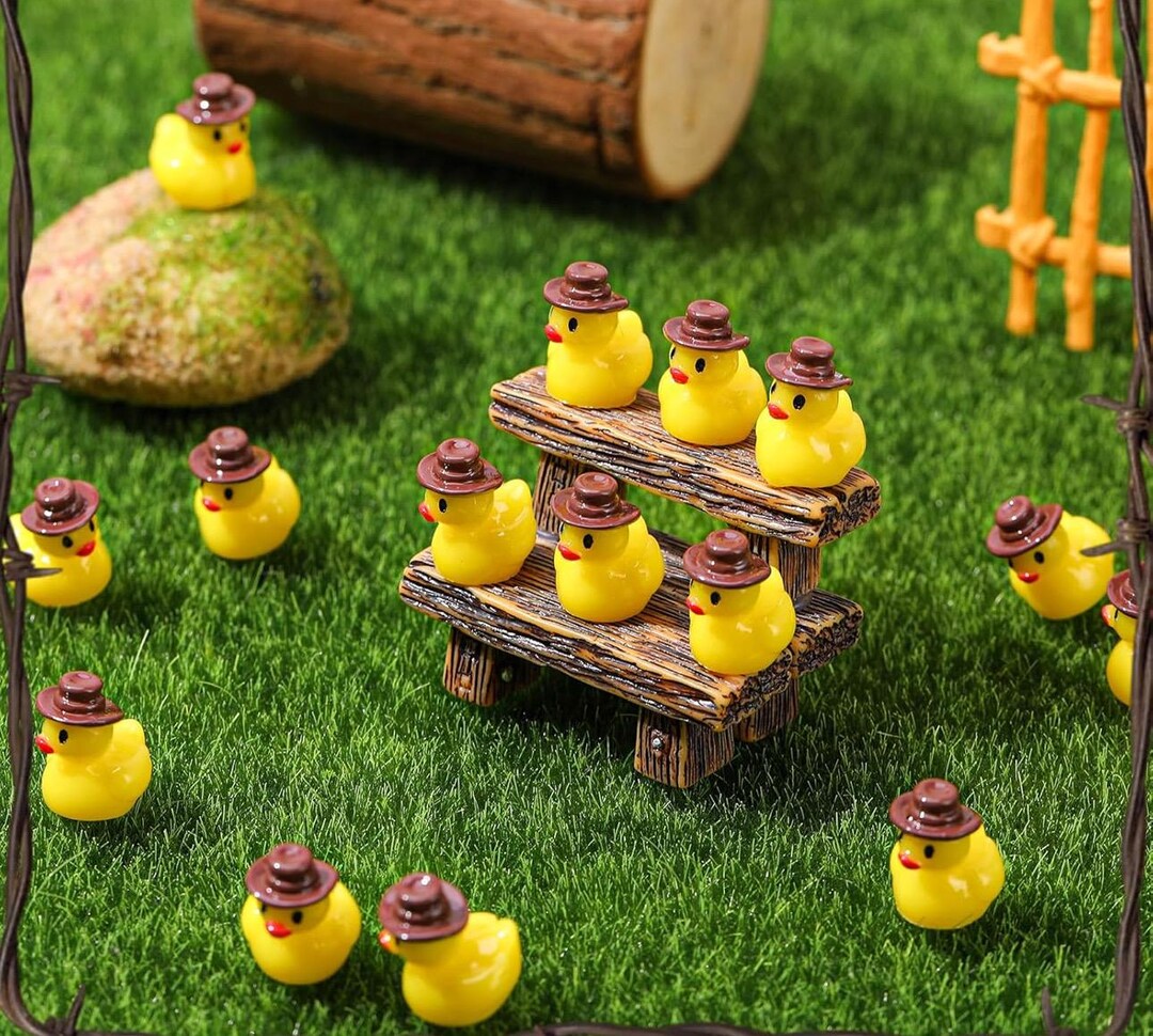 Mini Cowboy Ducks: Resin Fairy Garden Trinkets - Etsy