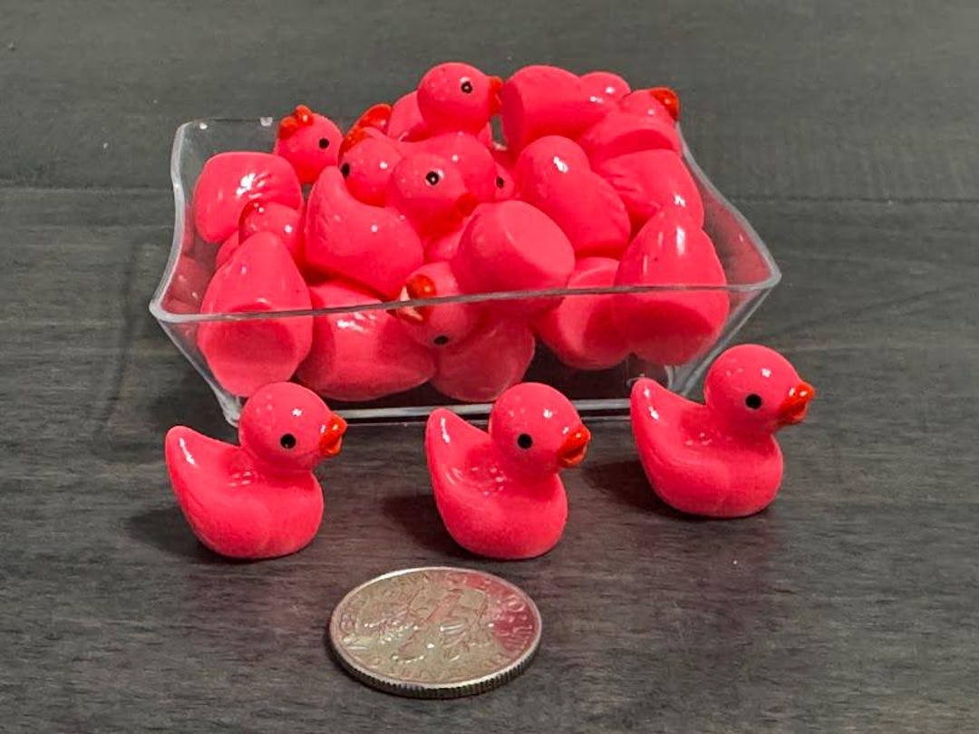 Hot Pink Ducks Mini Resin, Miniature Duck Cabochons - Mini Fairy Garden ...