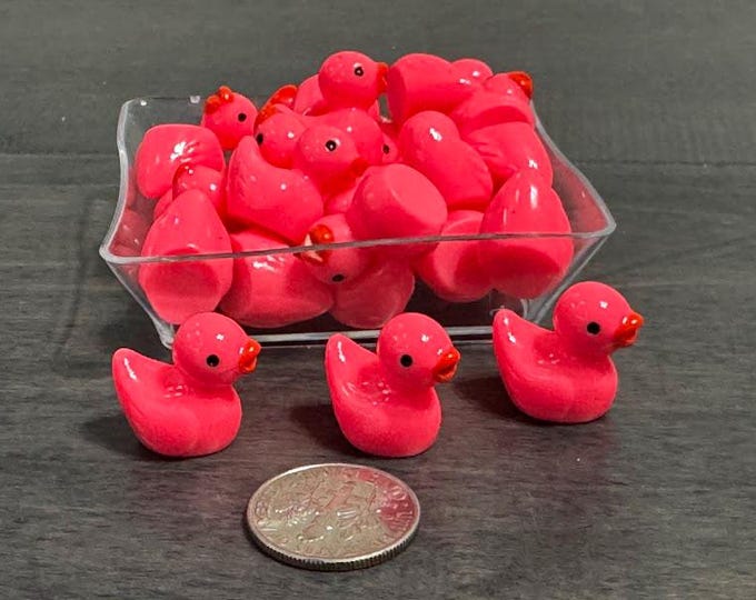 Hot Pink Ducks Mini Resin, Miniature Duck Cabochons - Mini Fairy Garden ...
