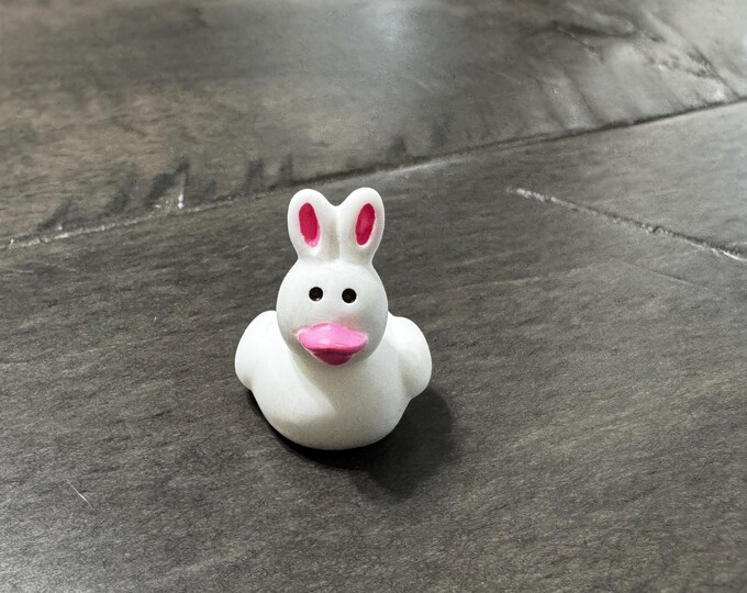 Easter Bunny Ducks Mini Resin, Bunny Ducks, Fairy Garden, Dollhouse ...