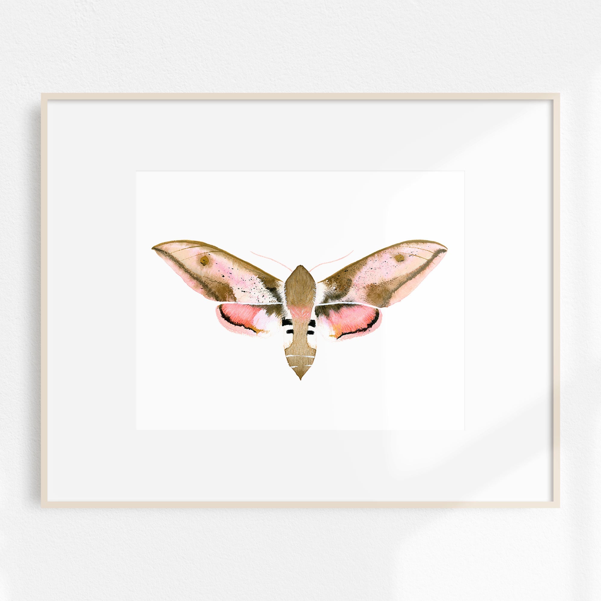 Hawk Moth Art Print 8x10 - Etsy