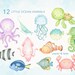 Watercolor Sea Animals Clipart, Cute Ocean Baby Animals PNG - Etsy