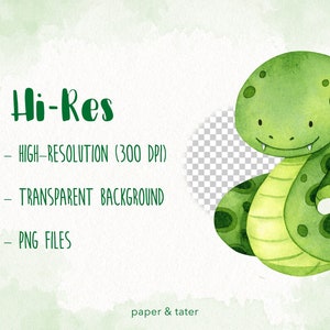 Watercolor Amazon Baby Animals 2 Clipart, Tropical Rainforest Animals ...