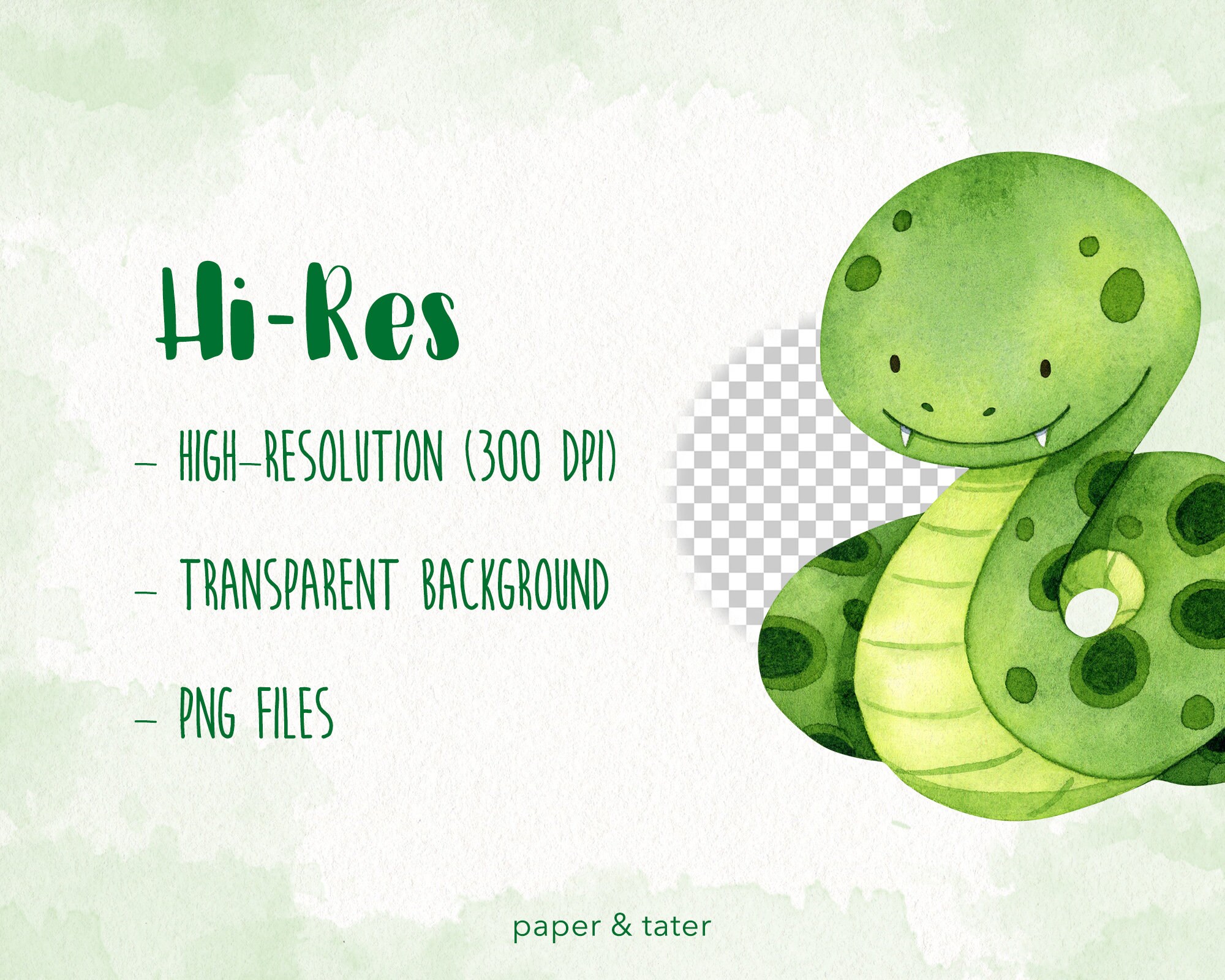 Watercolor Amazon Baby Animals 2 Clipart Tropical Rainforest - Etsy