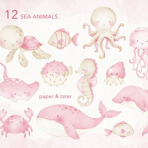Baby Pink Ocean Animals Watercolor Clipart, Cute Undersea Baby Animals ...