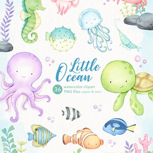 Watercolor Sea Animals Clipart, Cute Ocean Baby Animals PNG - Etsy
