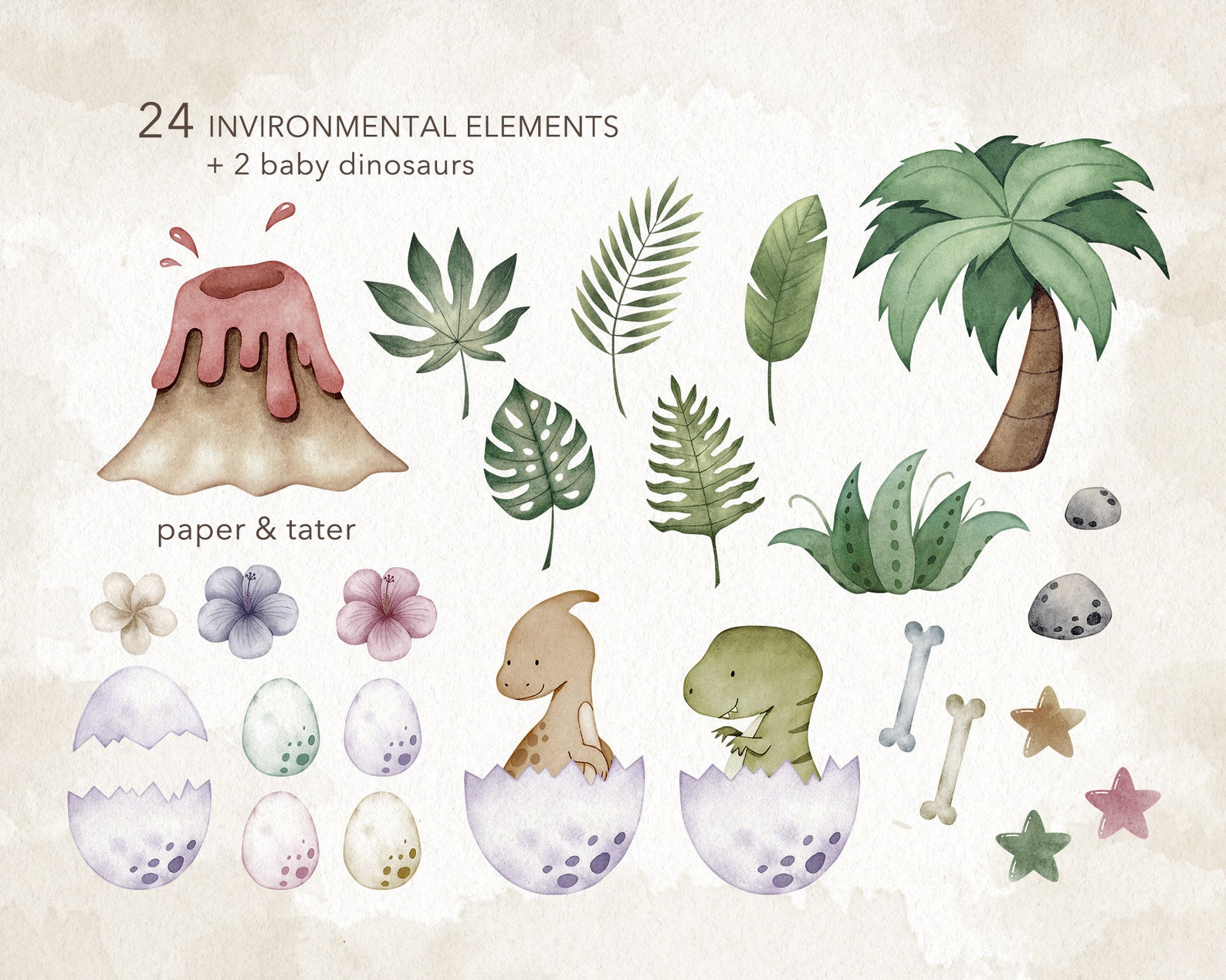 Watercolor Dinosaur Clipart Neutral Dino Clip Art Cute Baby - Etsy